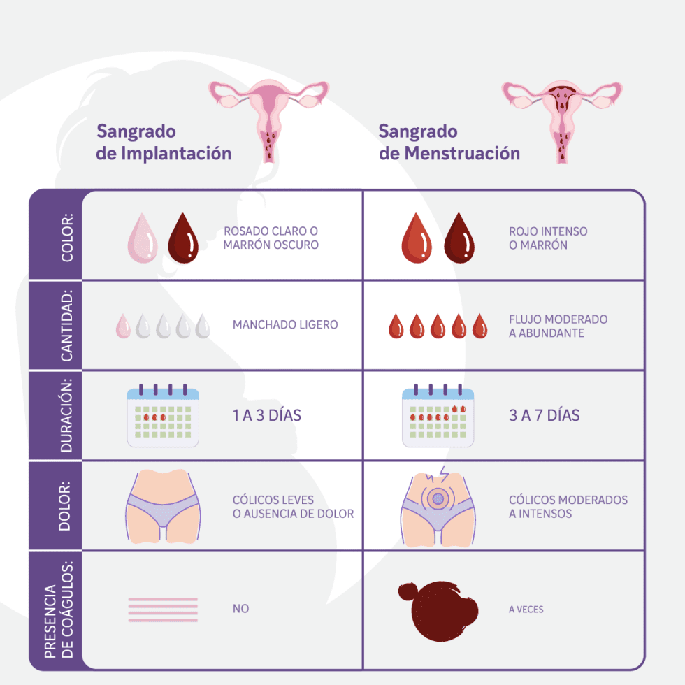 Sangrado de Implantación: Síntomas, Duración y Cómo Diferenciarlo de la Menstruación